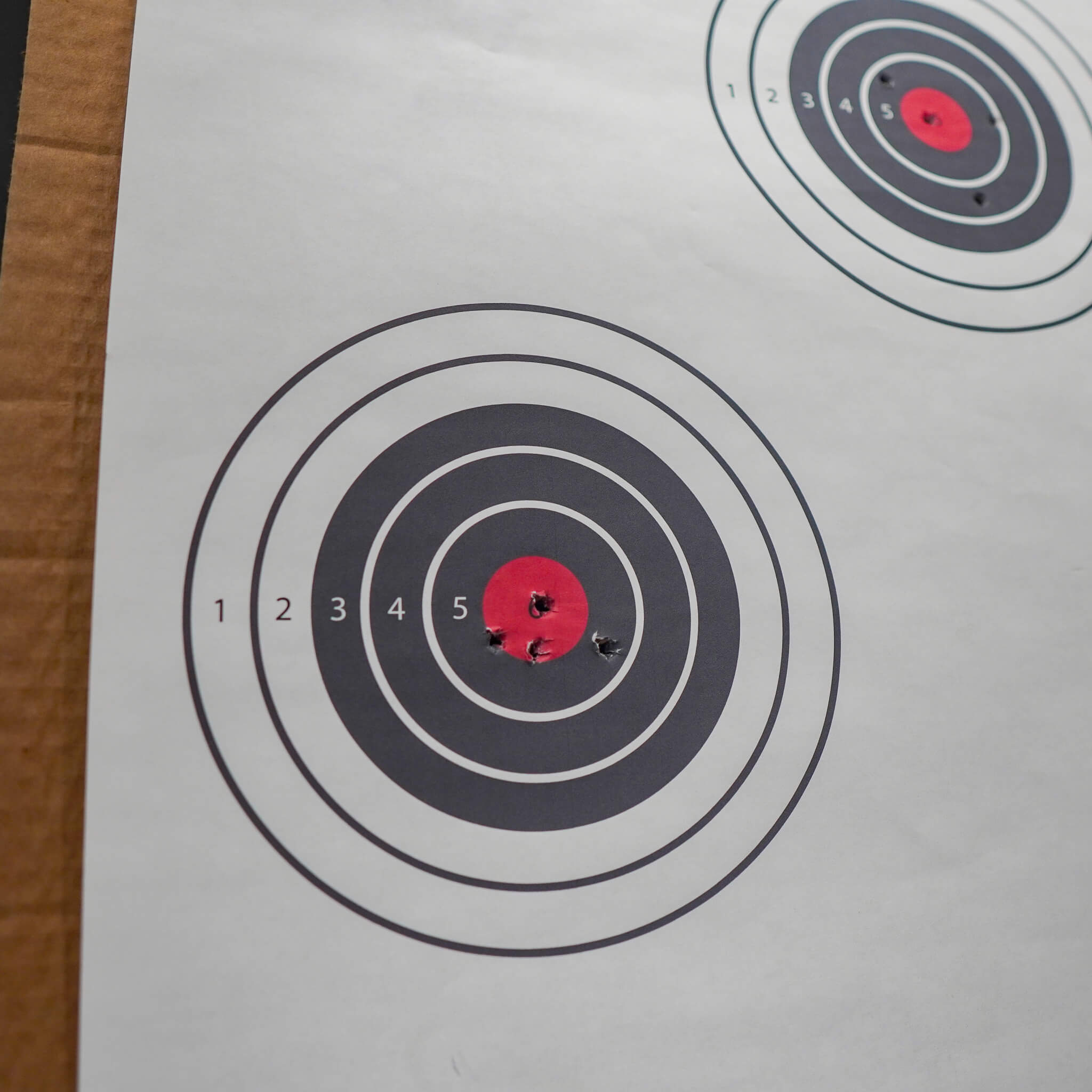 8 Inch Bullseye Paper Targets | Improve Accuracy