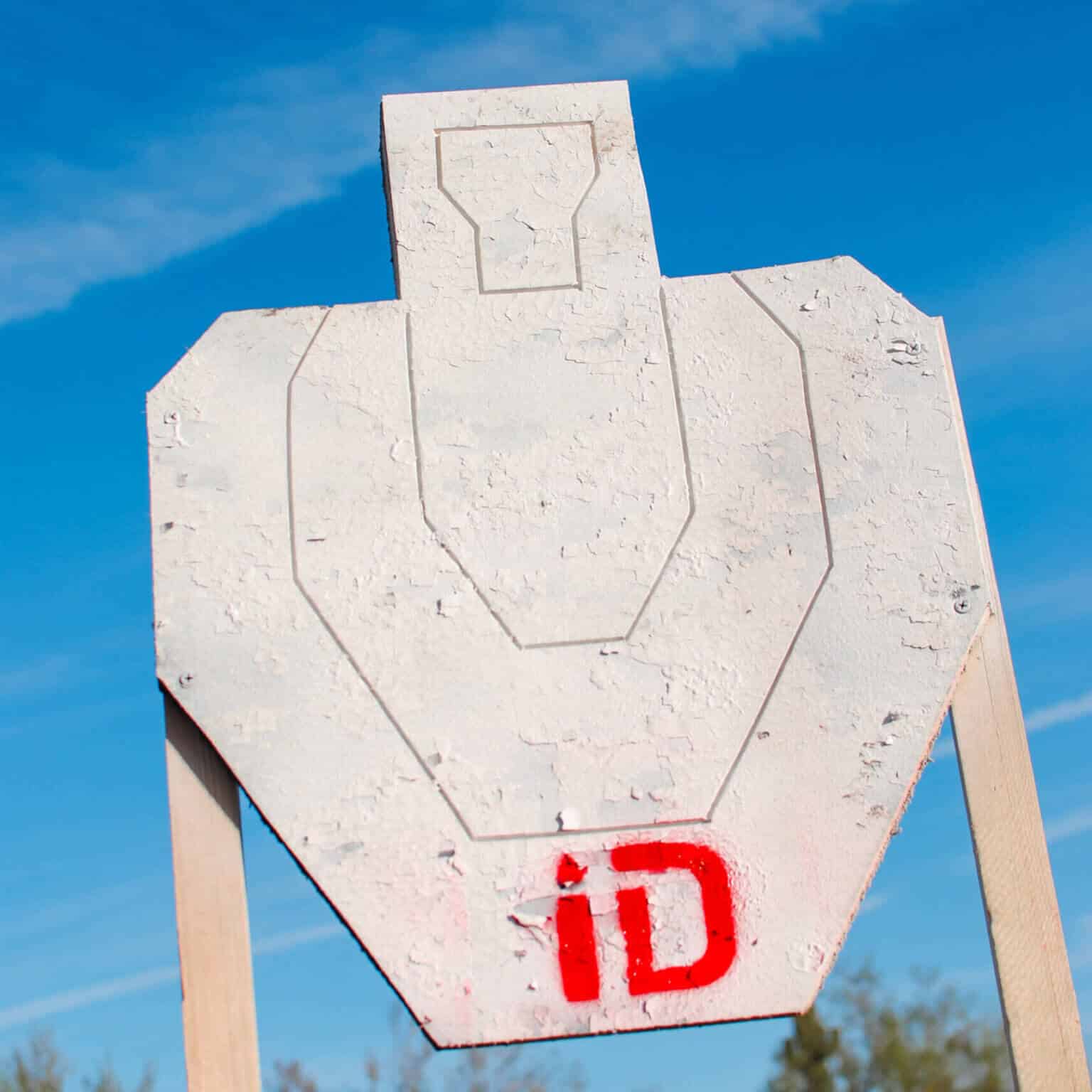 Sight-In Shooting Target | Infinity Targets